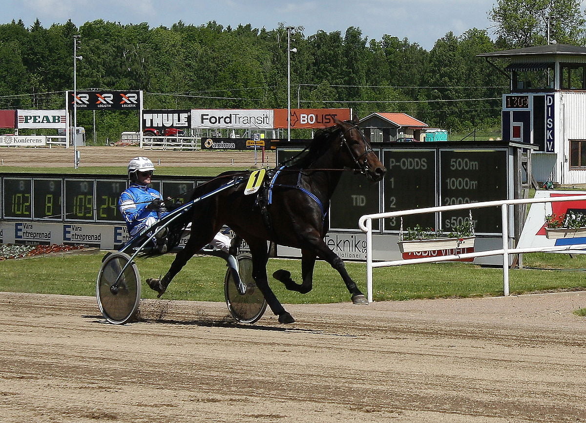 V75 tips och V75 resultat - Favoritlistan.se